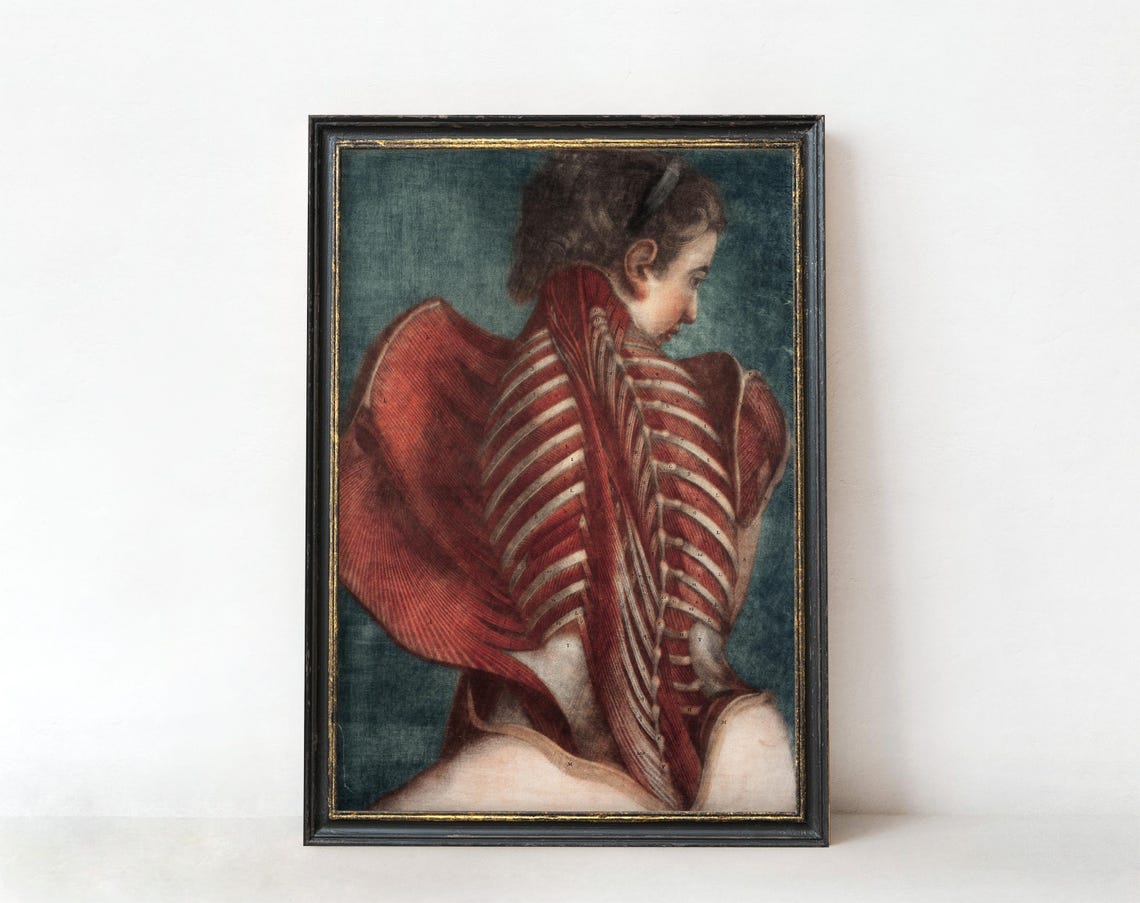 POSTER PRINTS | Anatomy of the Back, 1746 | Antique Painting of Back ...