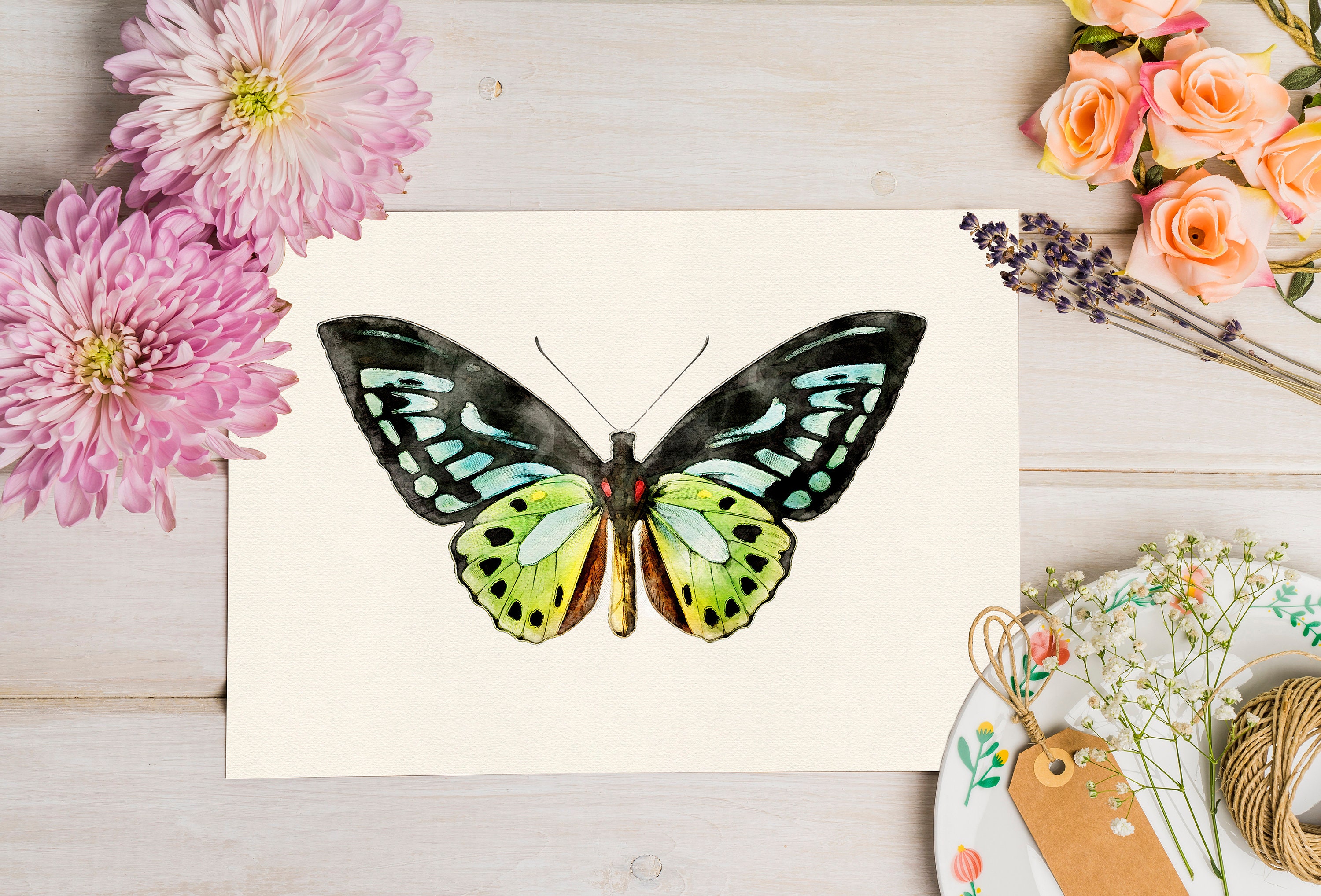 DIGITAL DOWNLOAD Watercolor Butterfly Painting of a Butterfly From an ...