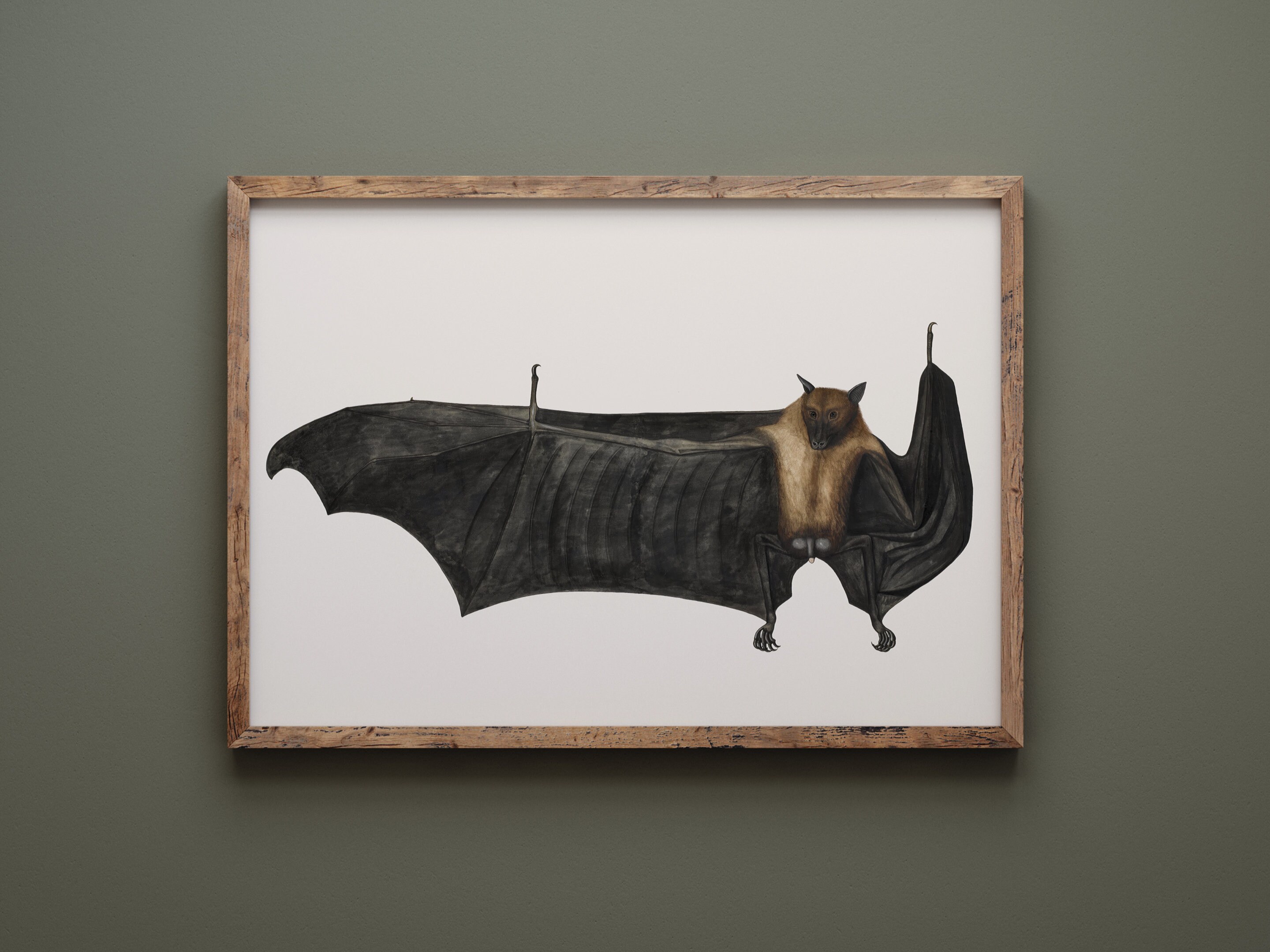 PRINTABLE DIGITAL DOWNLOAD Fruit Bat Drawing Antique Illustration ...