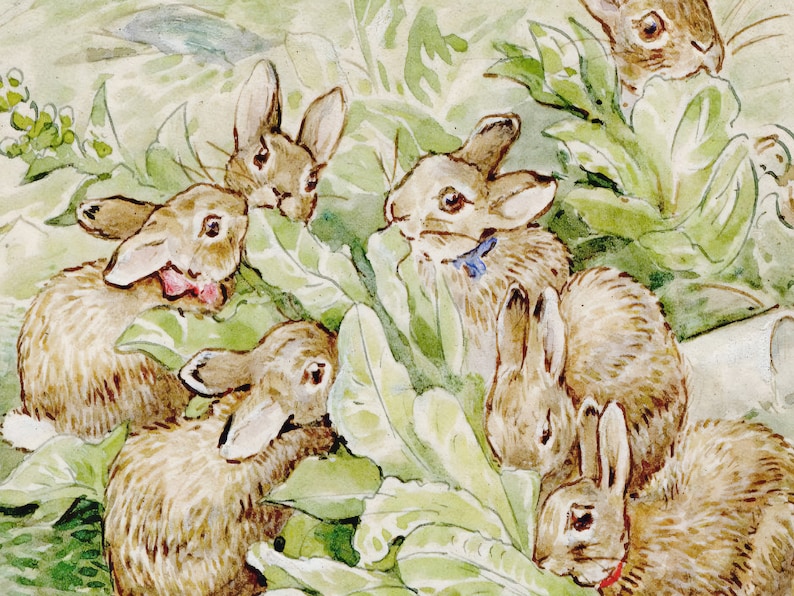 POSTER PRINTS Antique Beatrix Potter Illustration of Bunnies Eating in ...
