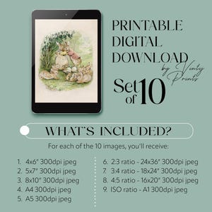 Beatrix Potter Digital Download Bundle Set of 10, Antique Printable Art ...