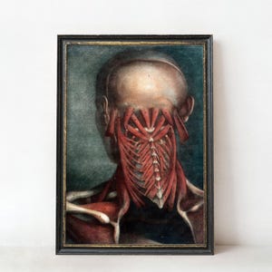 POSTER PRINTS | Anatomy of the Neck, 1746 | Antique Painting of Neck ...
