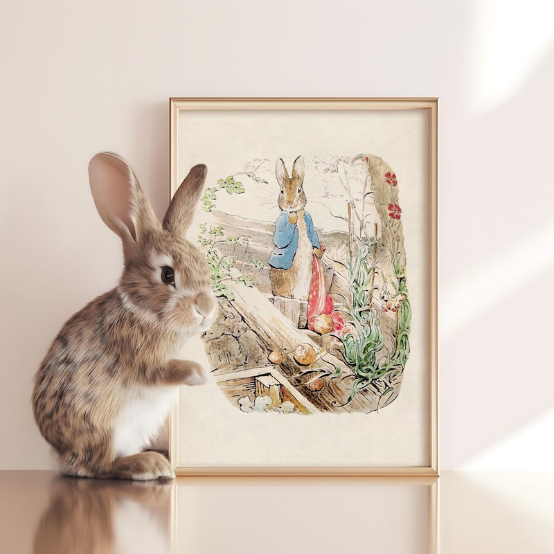 Peter Rabbit Drawing - Etsy