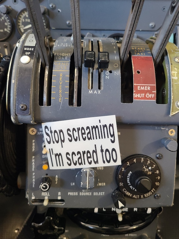 Stop Screaming I'm Scared Too - Etsy