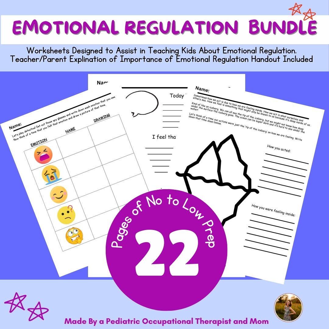 Emotional Regulation Bundle Classroom Homeschool 22 Sheets Visual ...