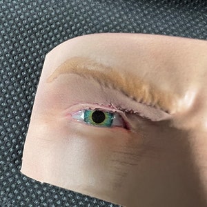 Realistic Eye Decals (1/3 to 1/2 Scale) for Statues / Figures / Dolls ...