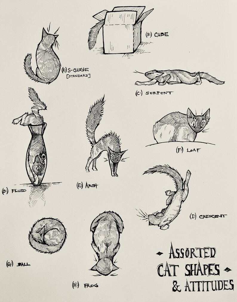 Assorted Cat Shapes and Attitudes - Etsy