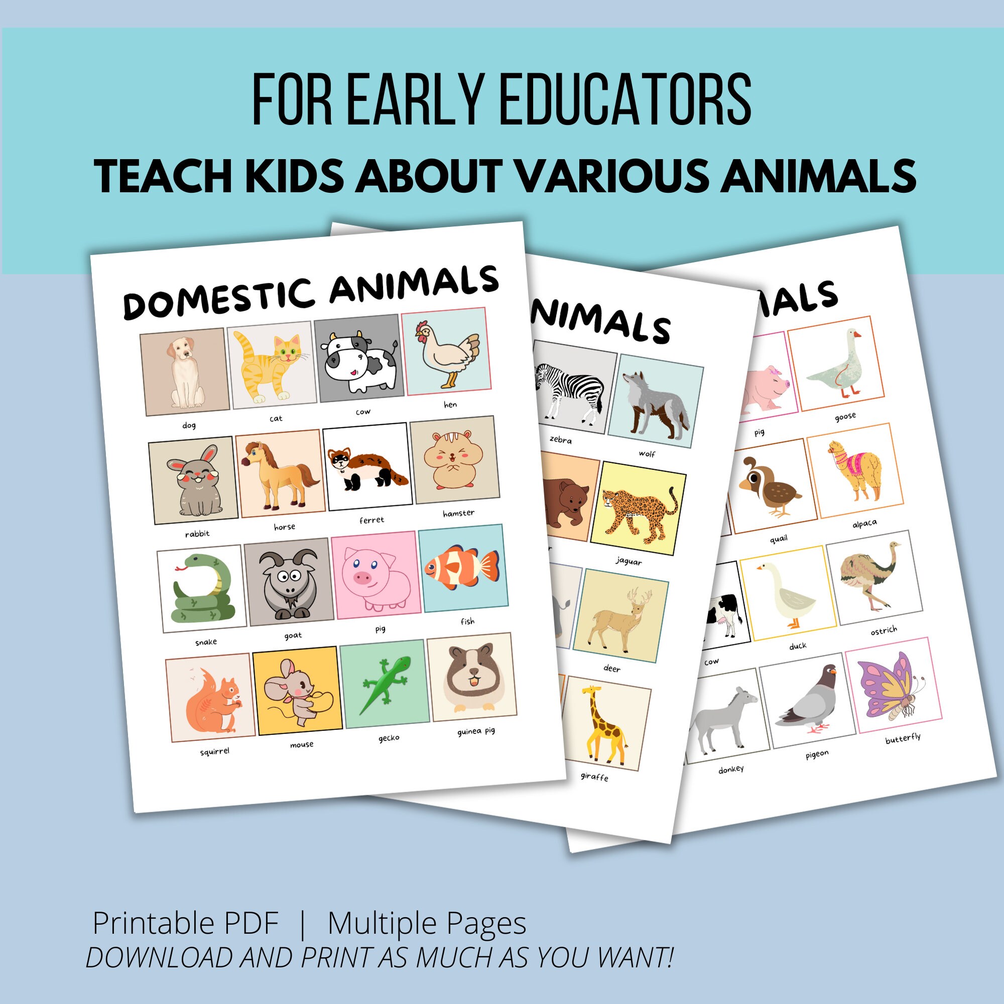 Science Posters for Classroom, Biology for Kids Poster, Parts of Body ...