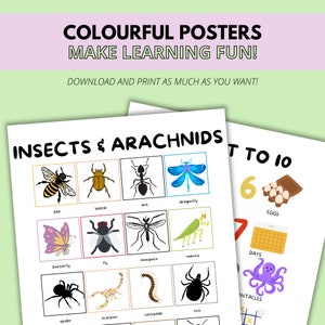 Classroom Decor Elementary Bundle, Alphabet Poster Classroom Printable ...