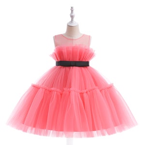 Baby Girl Frilly Princess Dress Tulle Dress Toddler Wedding - Etsy