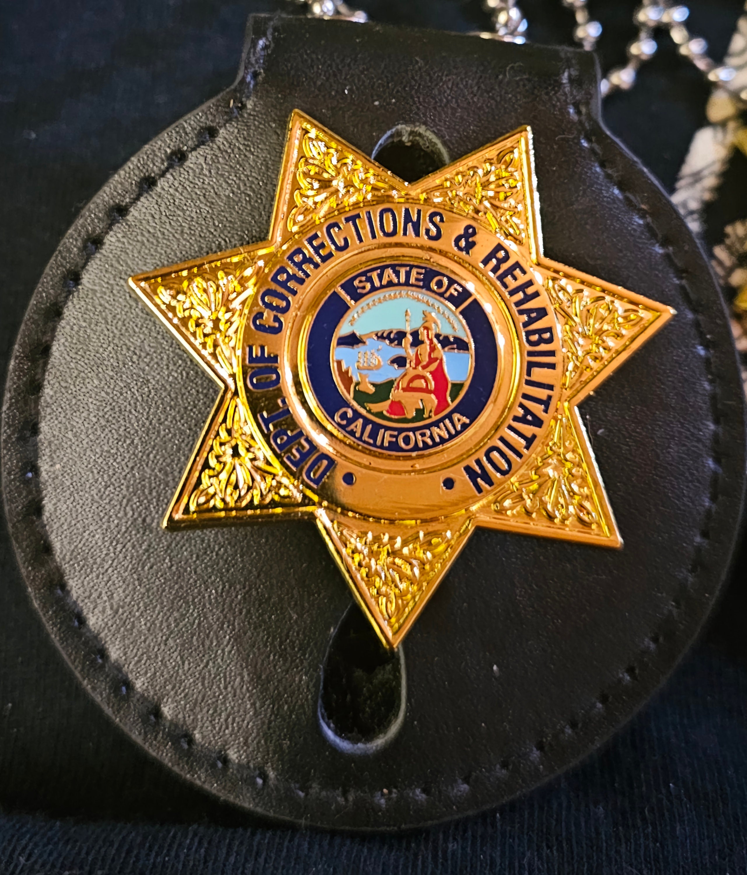 California Department of Corrections (CDCR) Lapel Badge Pin. - Etsy