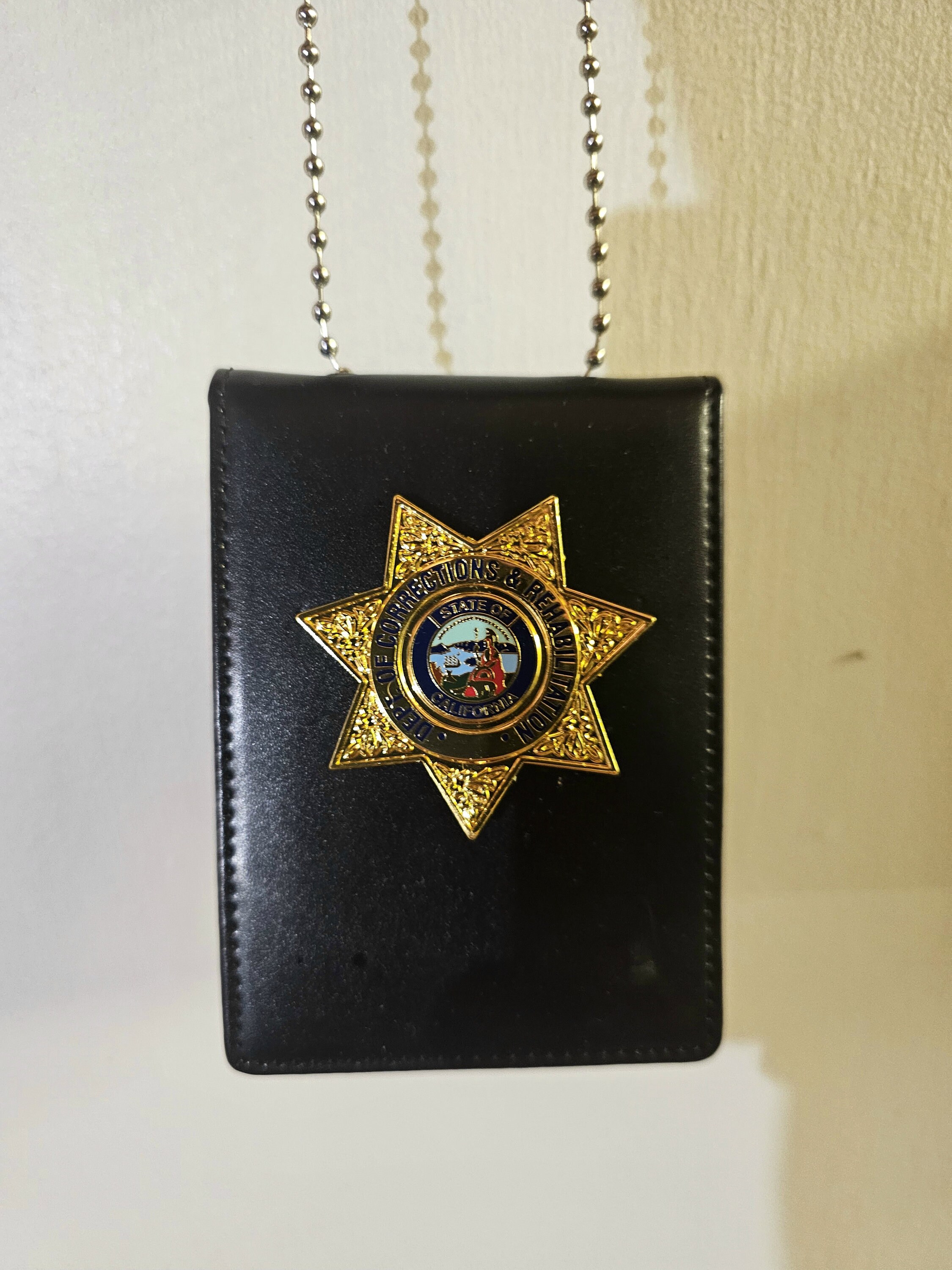 California Department of Corrections (CDCR) Lapel Badge Pin. - Etsy