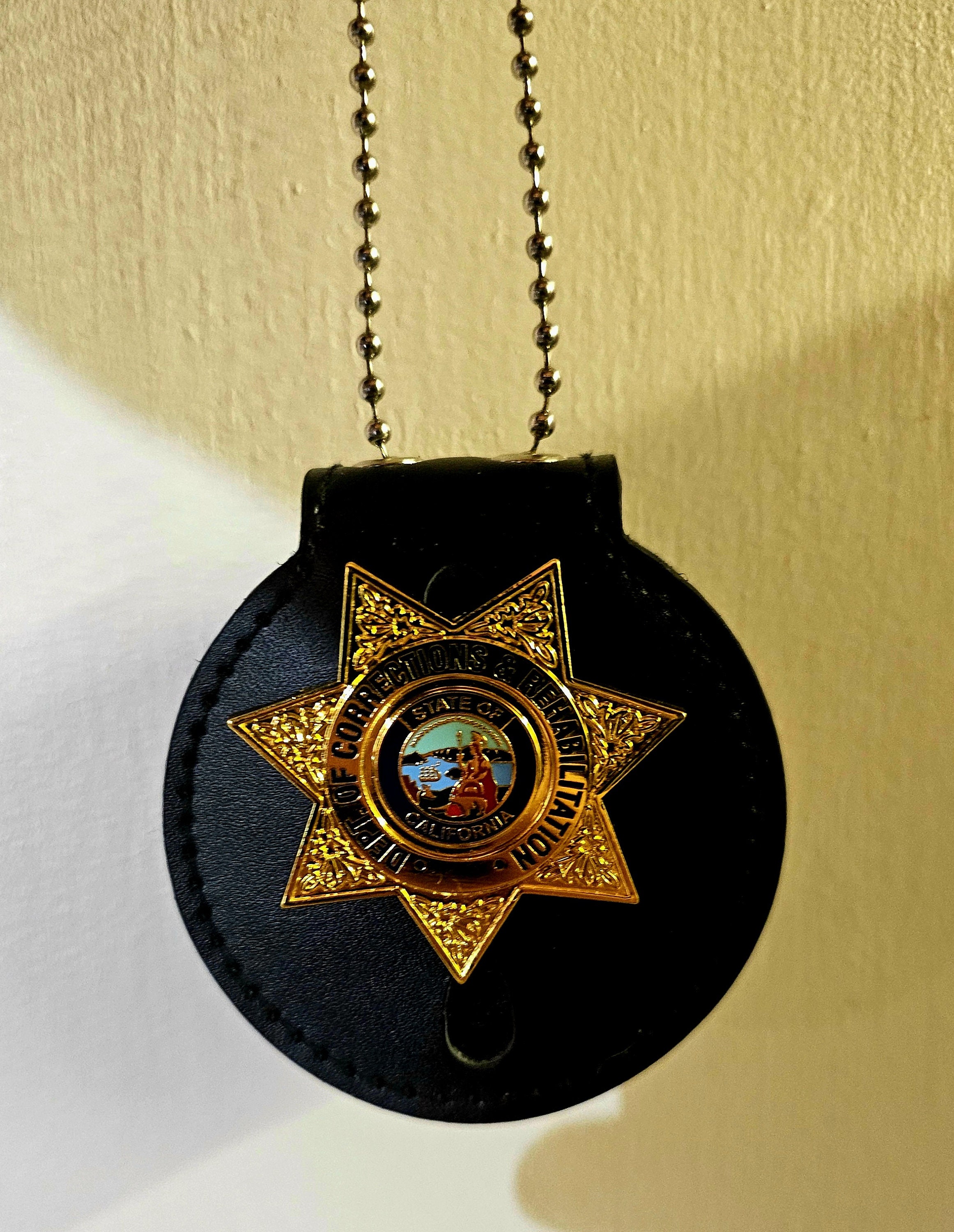 California Department of Corrections (CDCR) Lapel Badge Pin. - Etsy