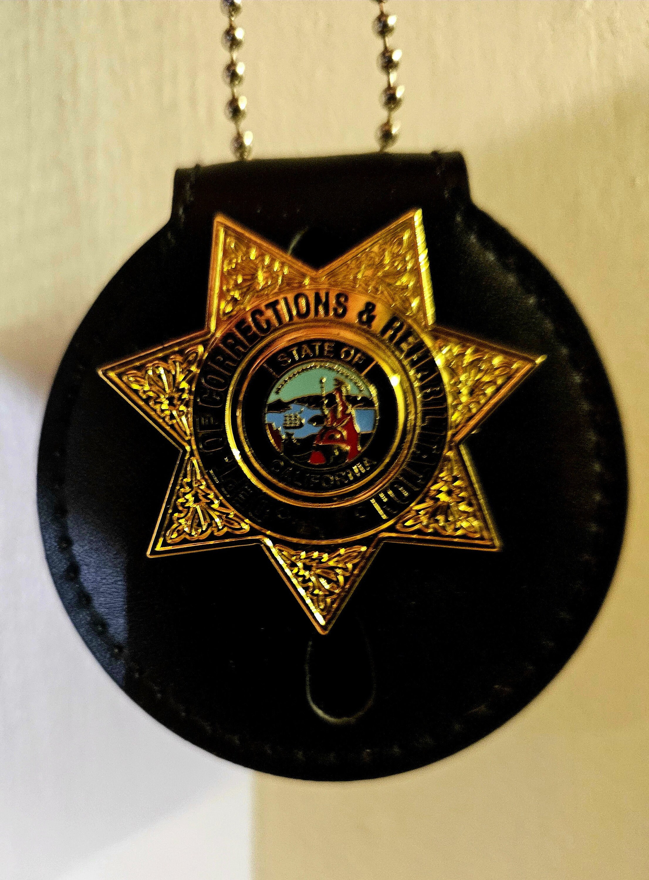 California Department of Corrections (CDCR) Lapel Badge Pin. - Etsy