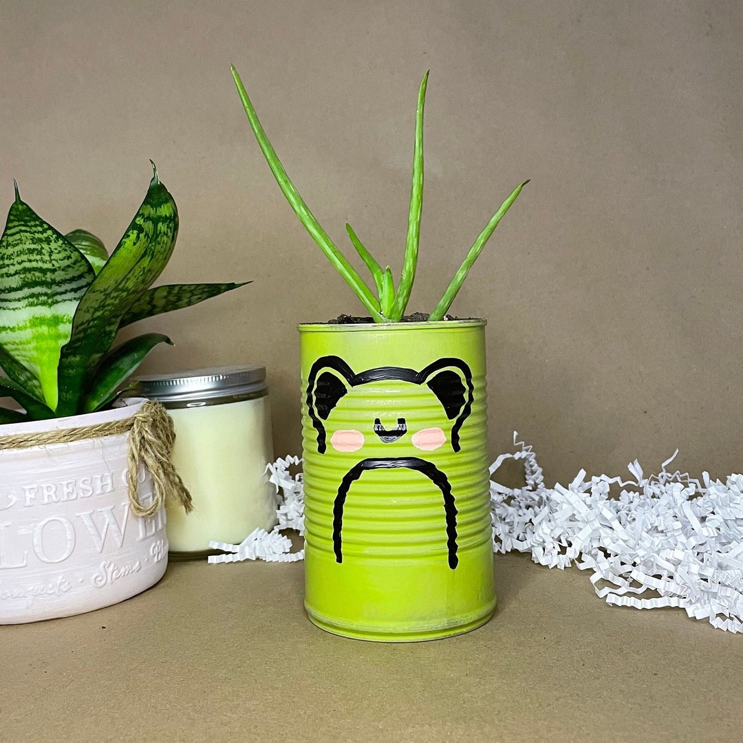 Aloe Vera Plant in Grunge Cottage Core Simple Minimalist Hand Painted ...