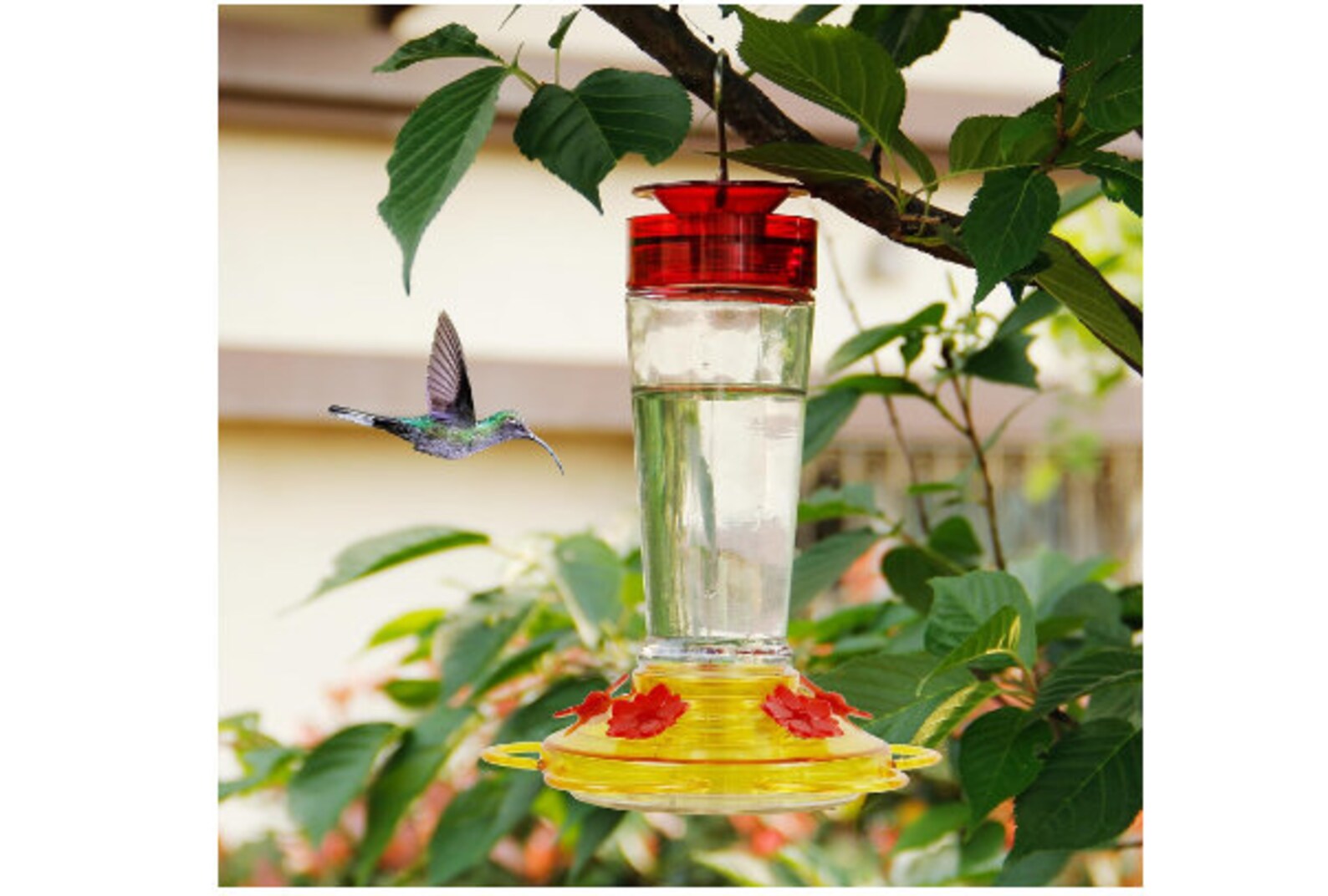 Hummingbird Feeder Glass Bottle Bird Feeders, 5 Feeding Ports for ...