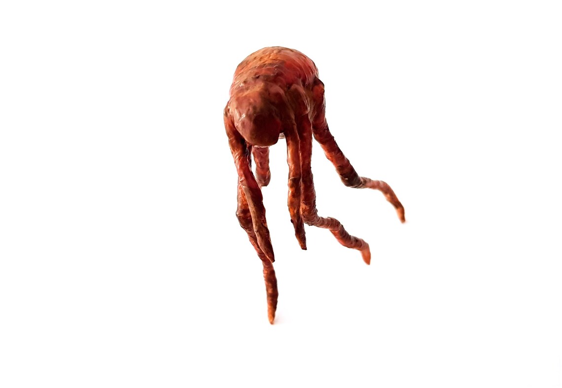 Flea, Animal, Beast, Insect, Parasite - Etsy UK