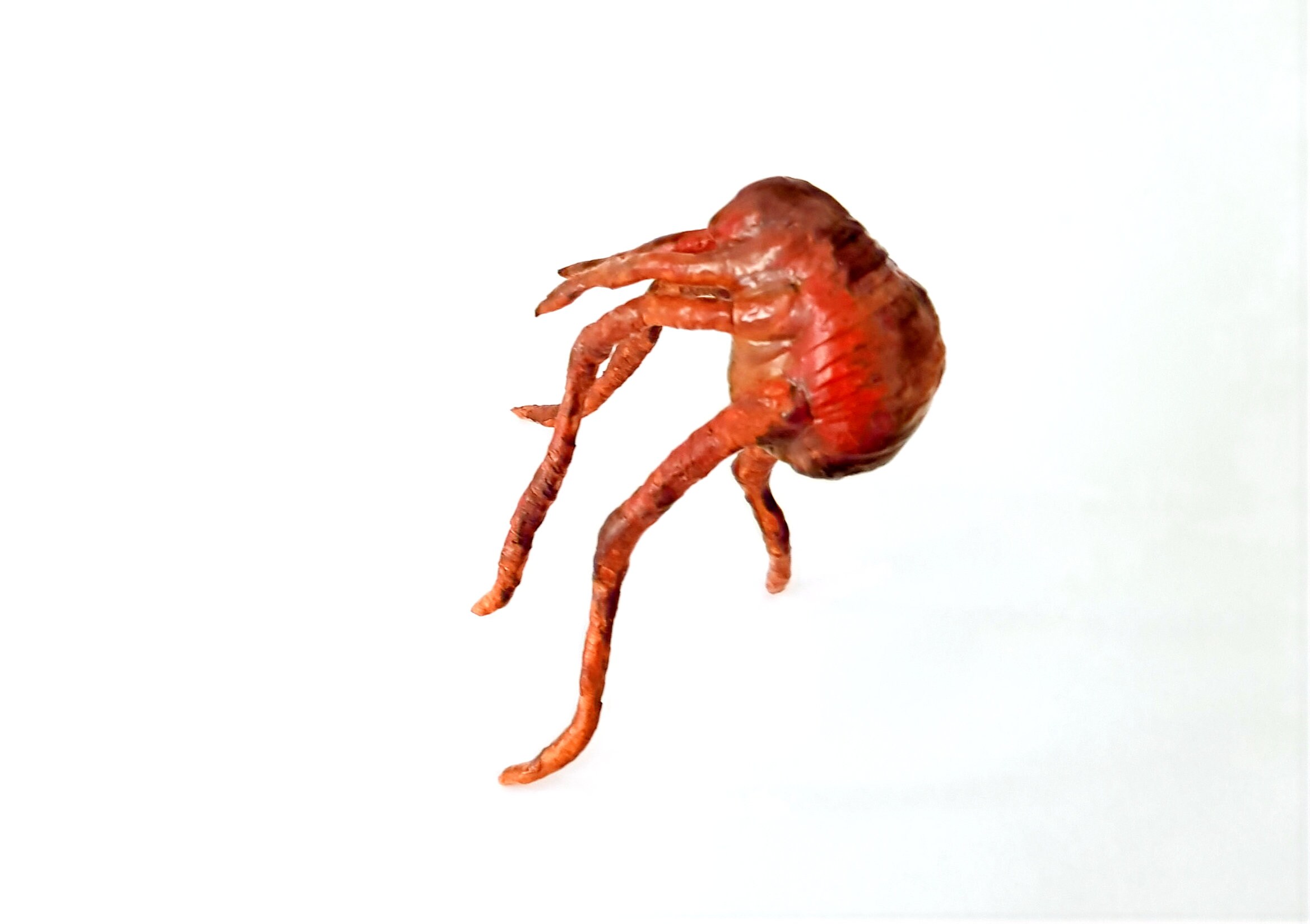 Flea, Animal, Beast, Insect, Parasite - Etsy UK