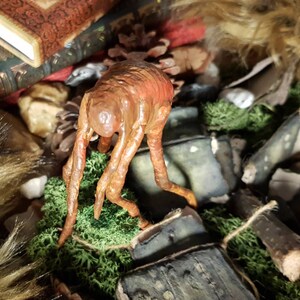 Flea, Animal, Beast, Insect, Parasite - Etsy UK