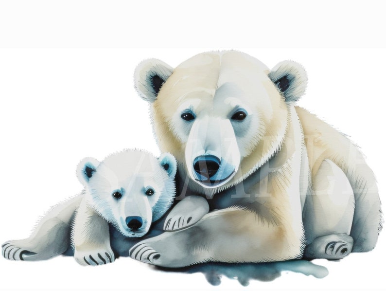 Polar Bear Clipart Winter Clipart Bear Family Clipart Artic Polar Bears ...