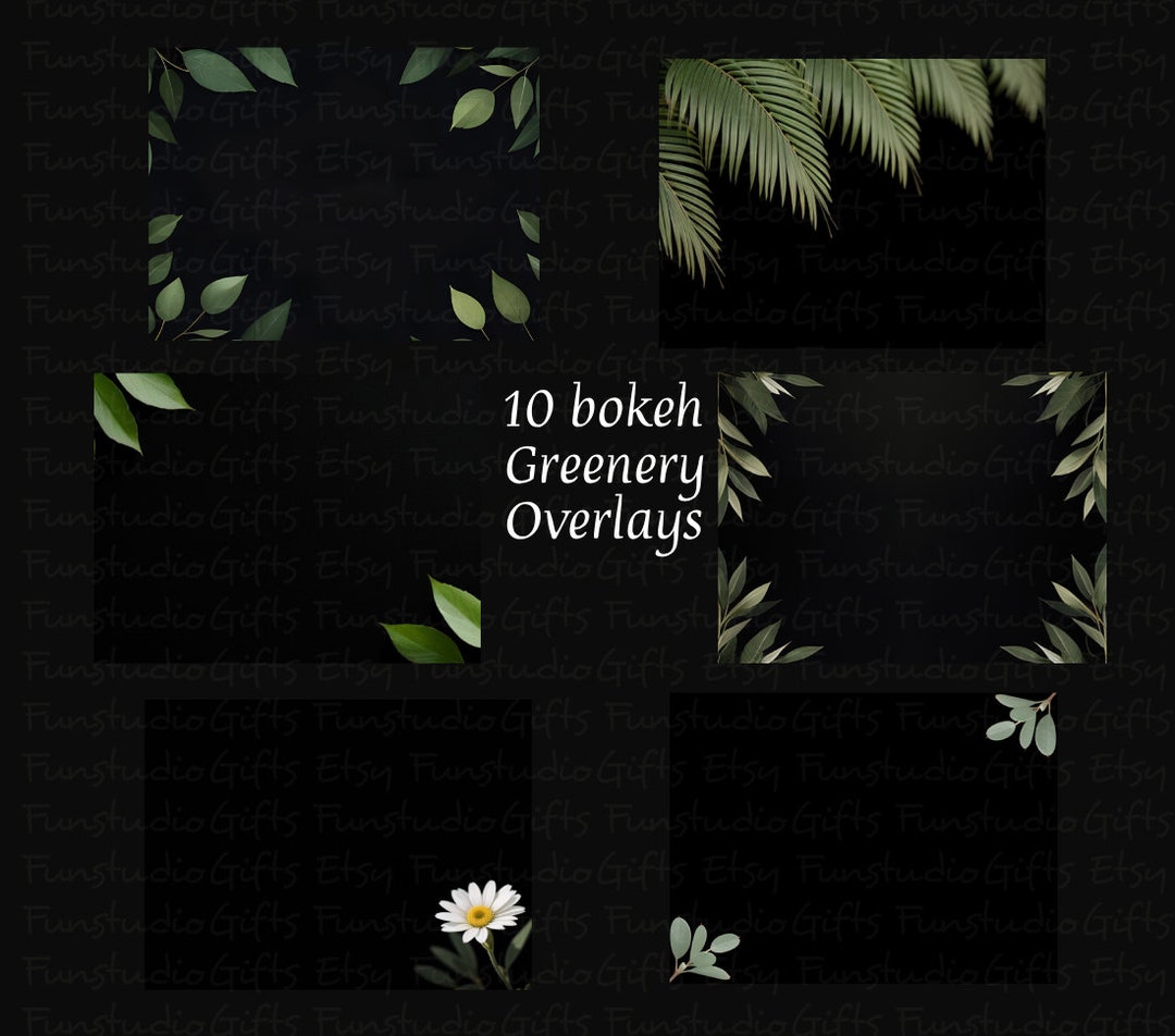Leaf Border Overlays Photo Frame Overlay Photo Rectangle Presets Photo ...