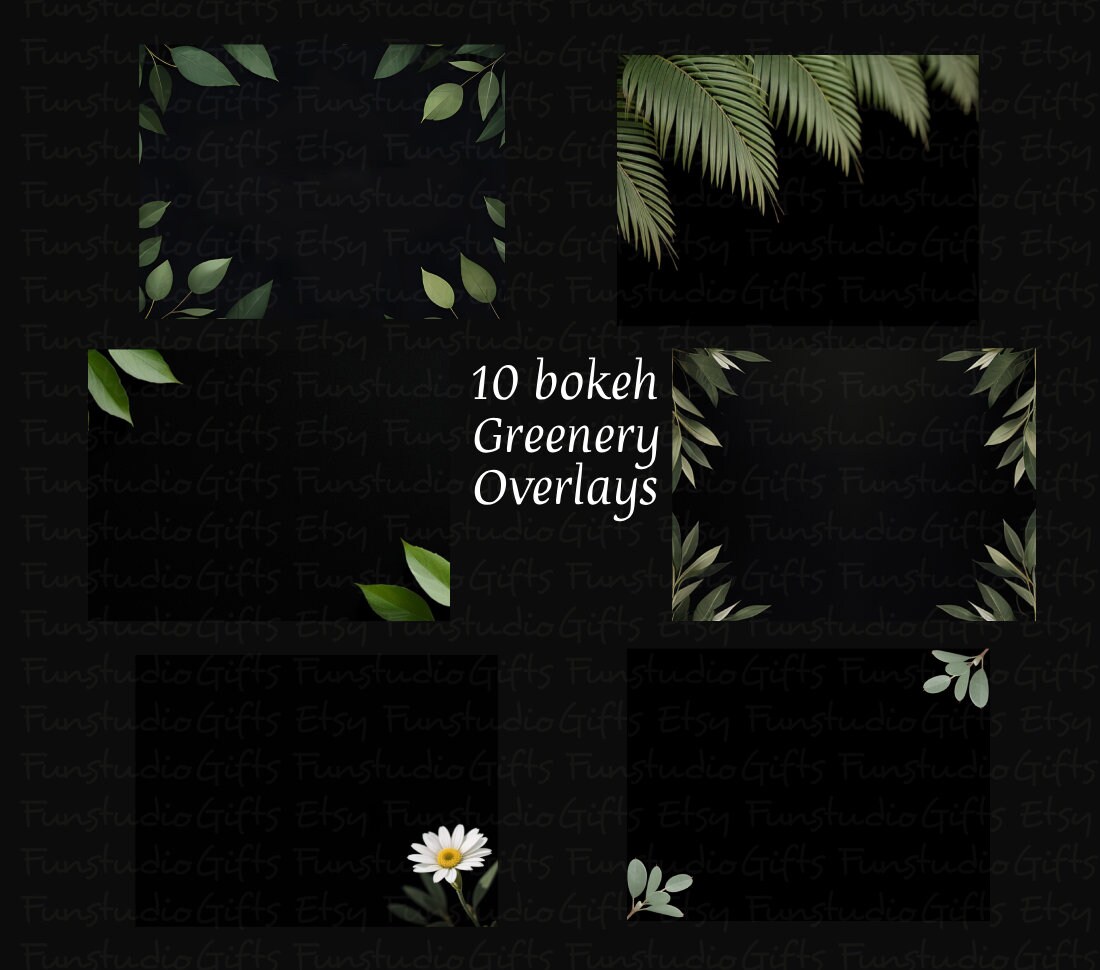 Leaf Border Overlays Photo Frame Overlay Photo Rectangle Presets Photo ...