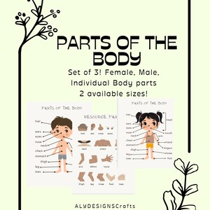 Parts of the Body Learning Posters, Toddler Anatomy, Toddler ...