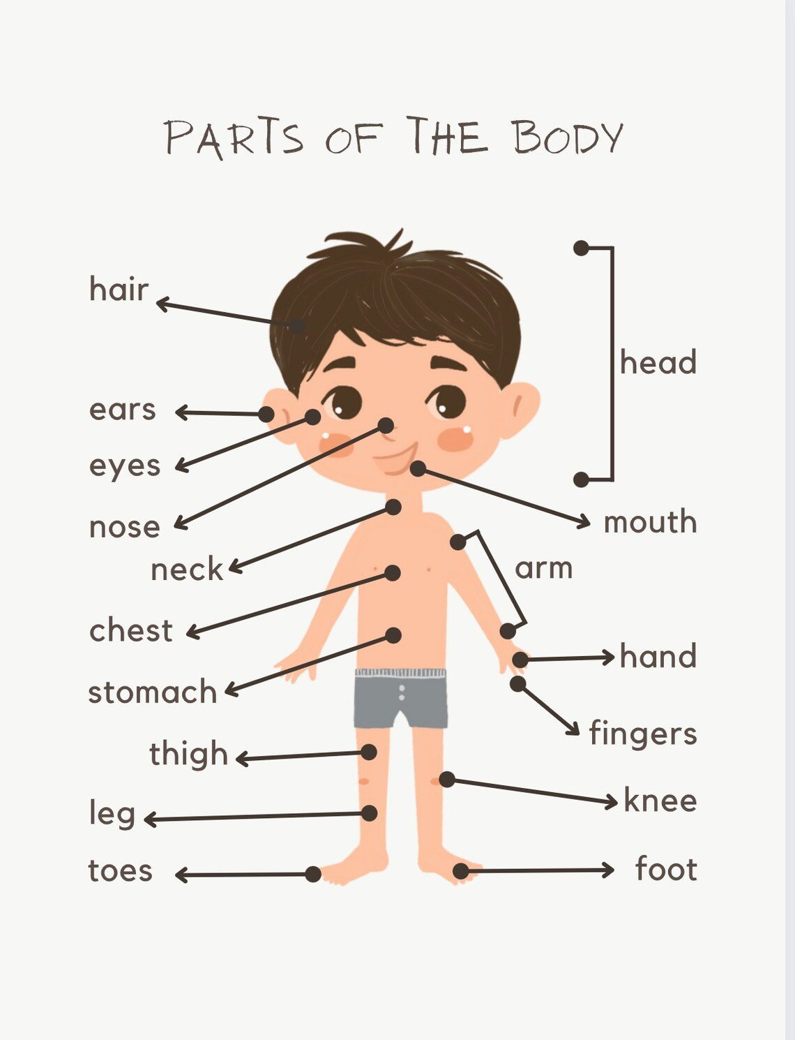 Parts of the Body Learning Posters, Toddler Anatomy, Toddler ...