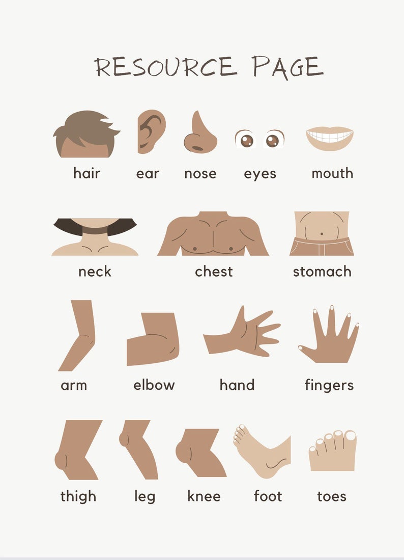 Parts of the Body Learning Posters, Toddler Anatomy, Toddler ...