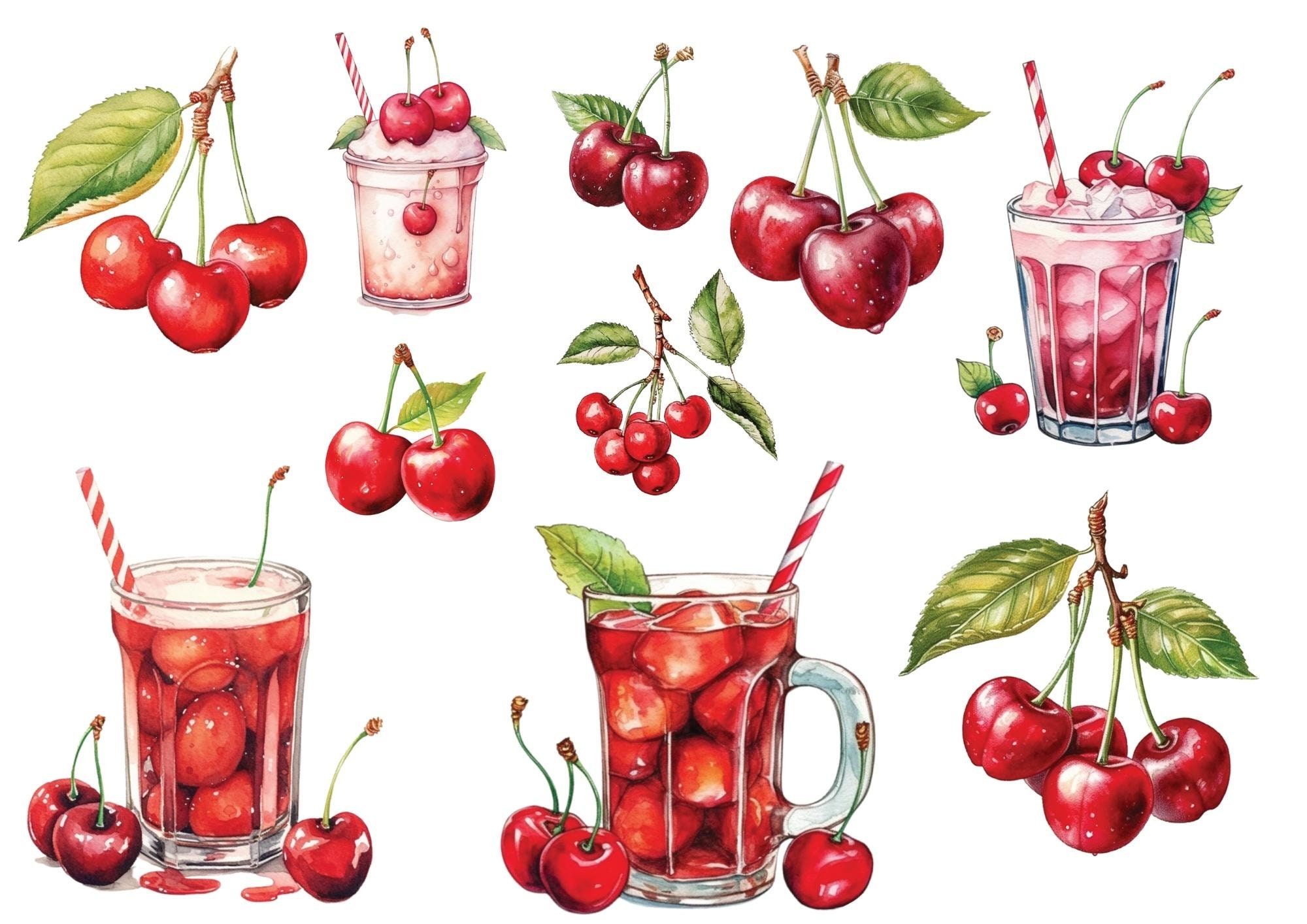 Watercolor Cherry Clipart, Red Fruit Clipart PNG, Instant Download ...