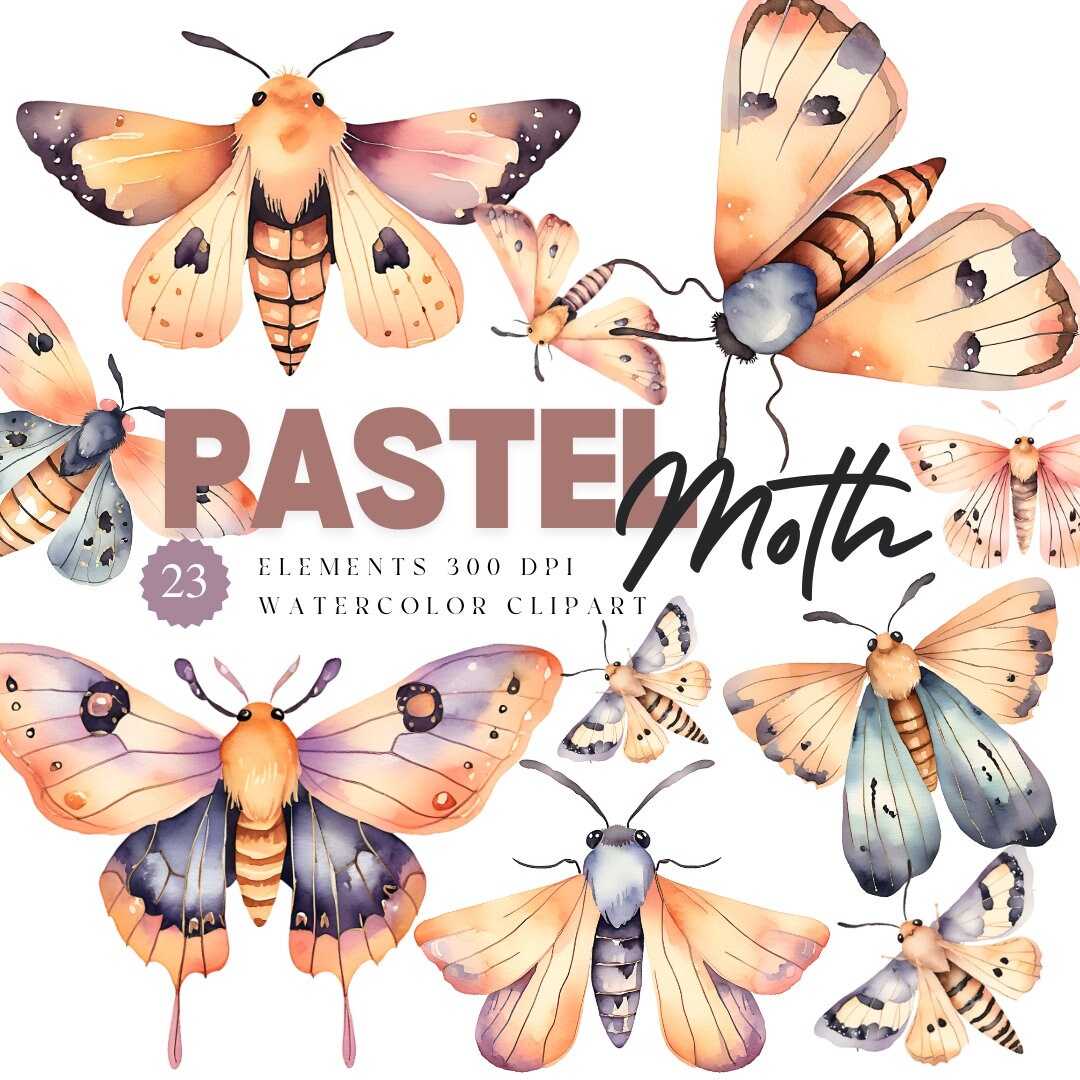 Pastel Moth PNG Clipart Graphics, Luna Moth Clipart, Watercolour Boho ...