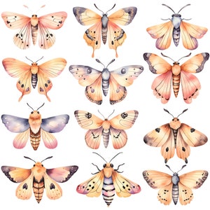 Pastel Moth PNG Clipart Graphics, Luna Moth Clipart, Watercolour Boho ...
