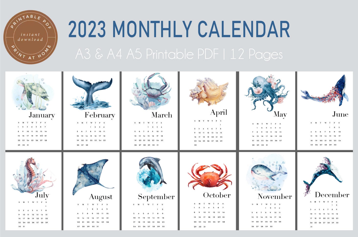 2023 Printable Calendar Ocean Calendar 2023 Minimalist 12 - Etsy