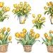 Watercolor Tulip Clipart, Floral Clipart PNG, Instant Download Clip Art ...