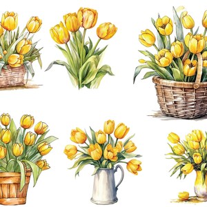 Watercolor Tulip Clipart, Floral Clipart PNG, Instant Download Clip Art ...