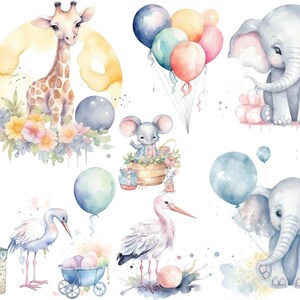 Watercolor Clipart Baby Shower, Baby Monthly Milestone Clip Arts ...