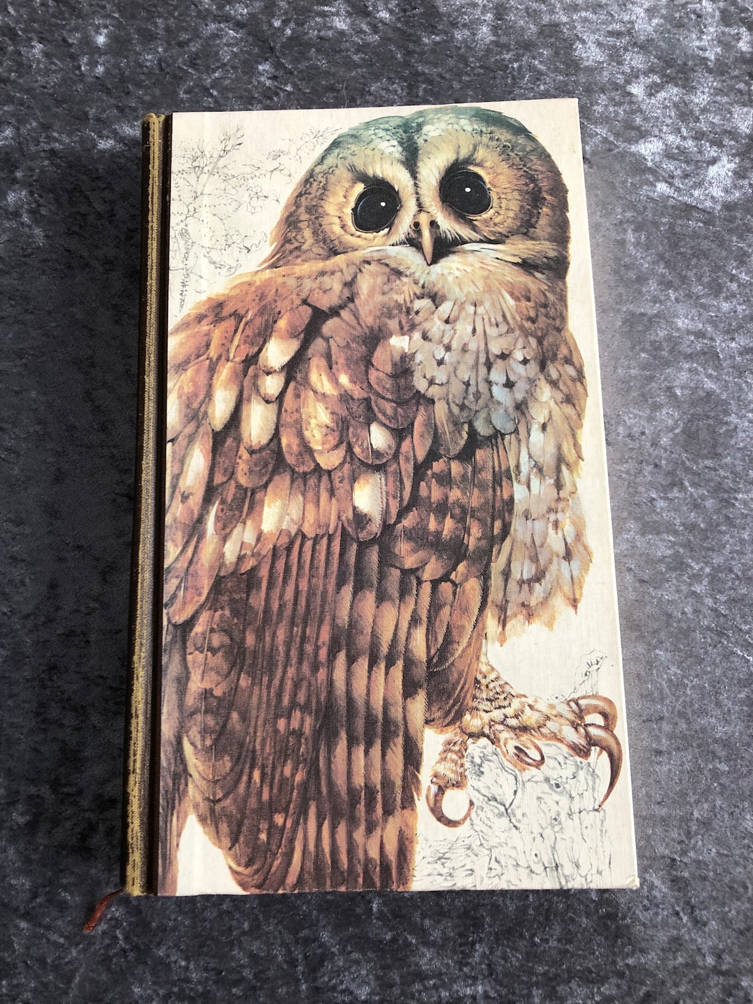 Book of British Birds, First Edition - Etsy