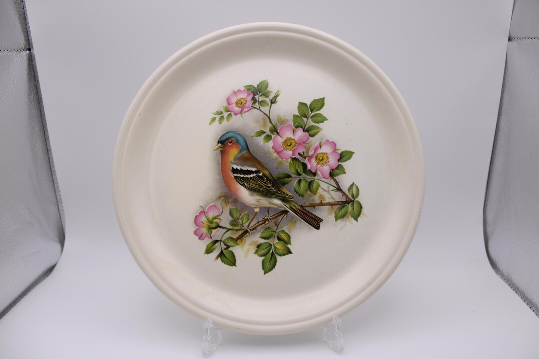 Barratts of Staffordshire England Plate With Chaffinch Bird Design - Etsy