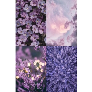 Lavender Wall Collage, Printable Wall Collage, 50 Pieces, 4x6 Inch ...