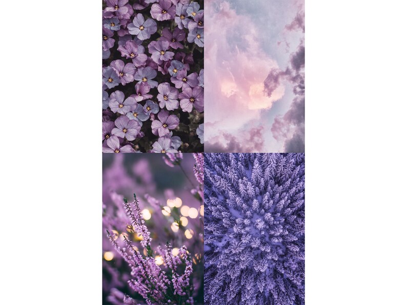 Lavender Wall Collage, Printable Wall Collage, 50 Pieces, 4x6 Inch ...