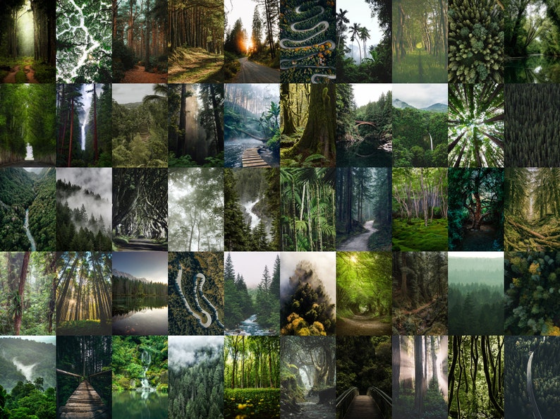 Forest Wall Collage, Printable Wall Collage, 50 Pieces, 4x6 Inch Images ...