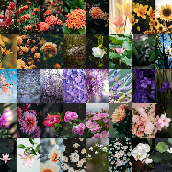 Flower Collage - Etsy