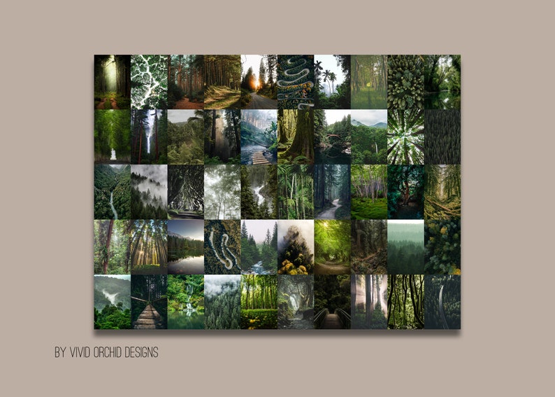 Forest Iphone Ios16 Wallpaper Bundle Forest Lock Screens 50 - Etsy