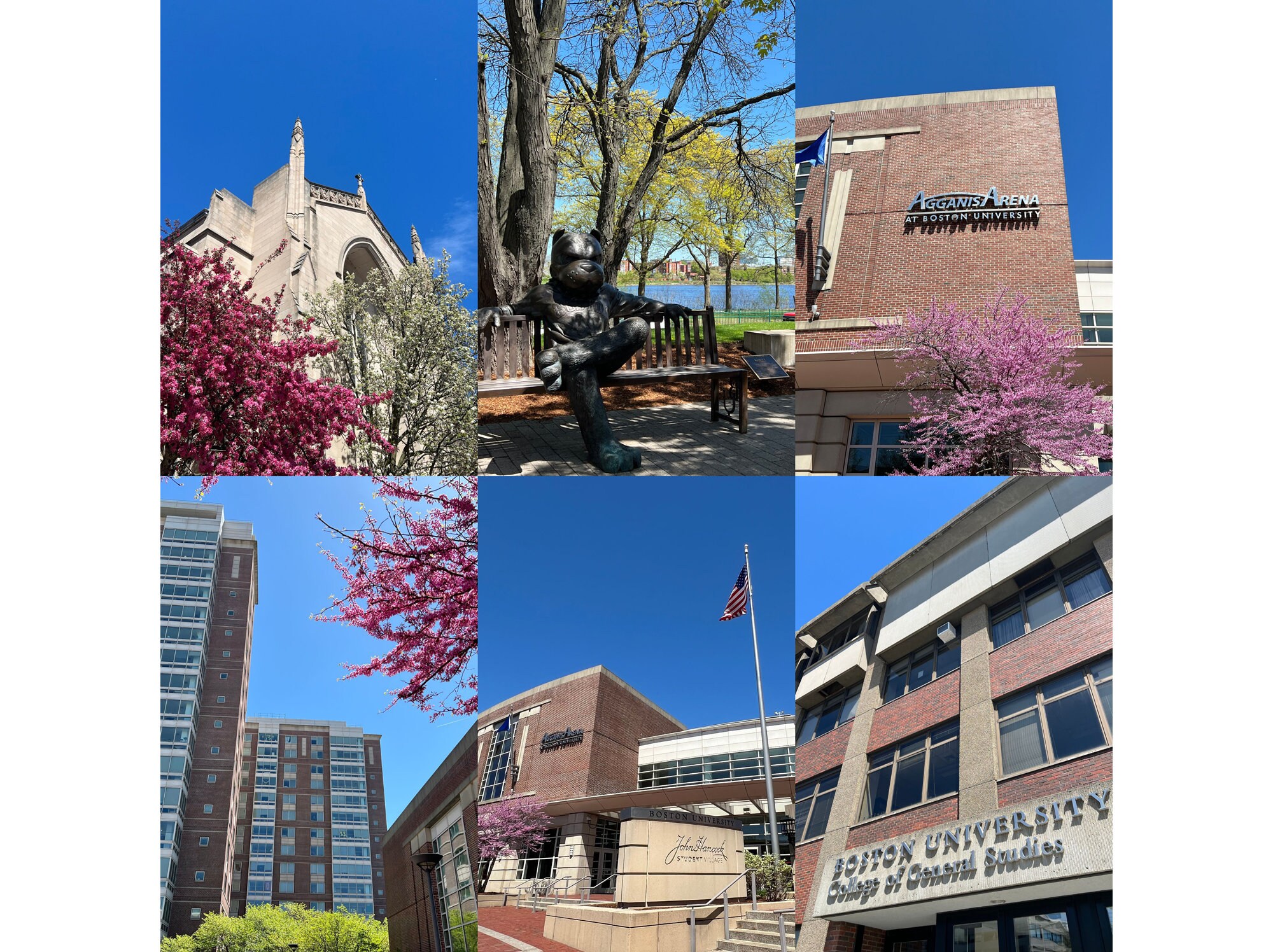 BU Daytime Wall Collage, Boston University, Printable Wall Collage, 50 ...