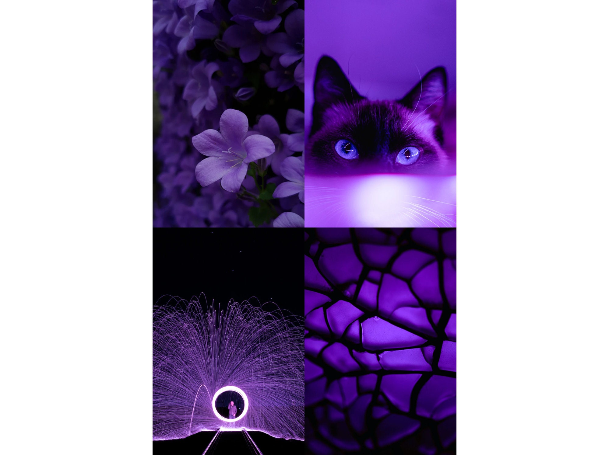 Dark Purple Wall Collage, Printable Wall Collage, 50 Pieces, 4x6 Inch ...