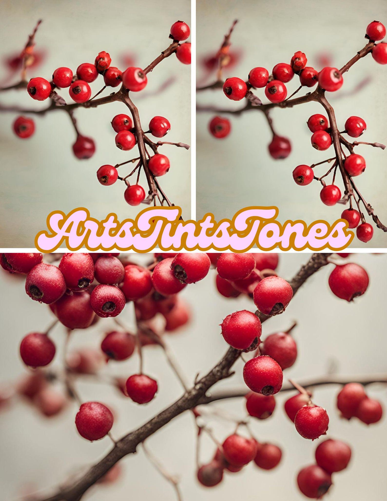 Vintage Winter Berry Branch Art Print, Country Farmhouse Holiday Wall ...
