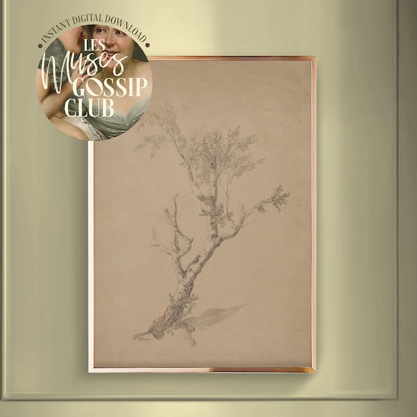 Birch Tree Landscape Pencil Drawing Etsy