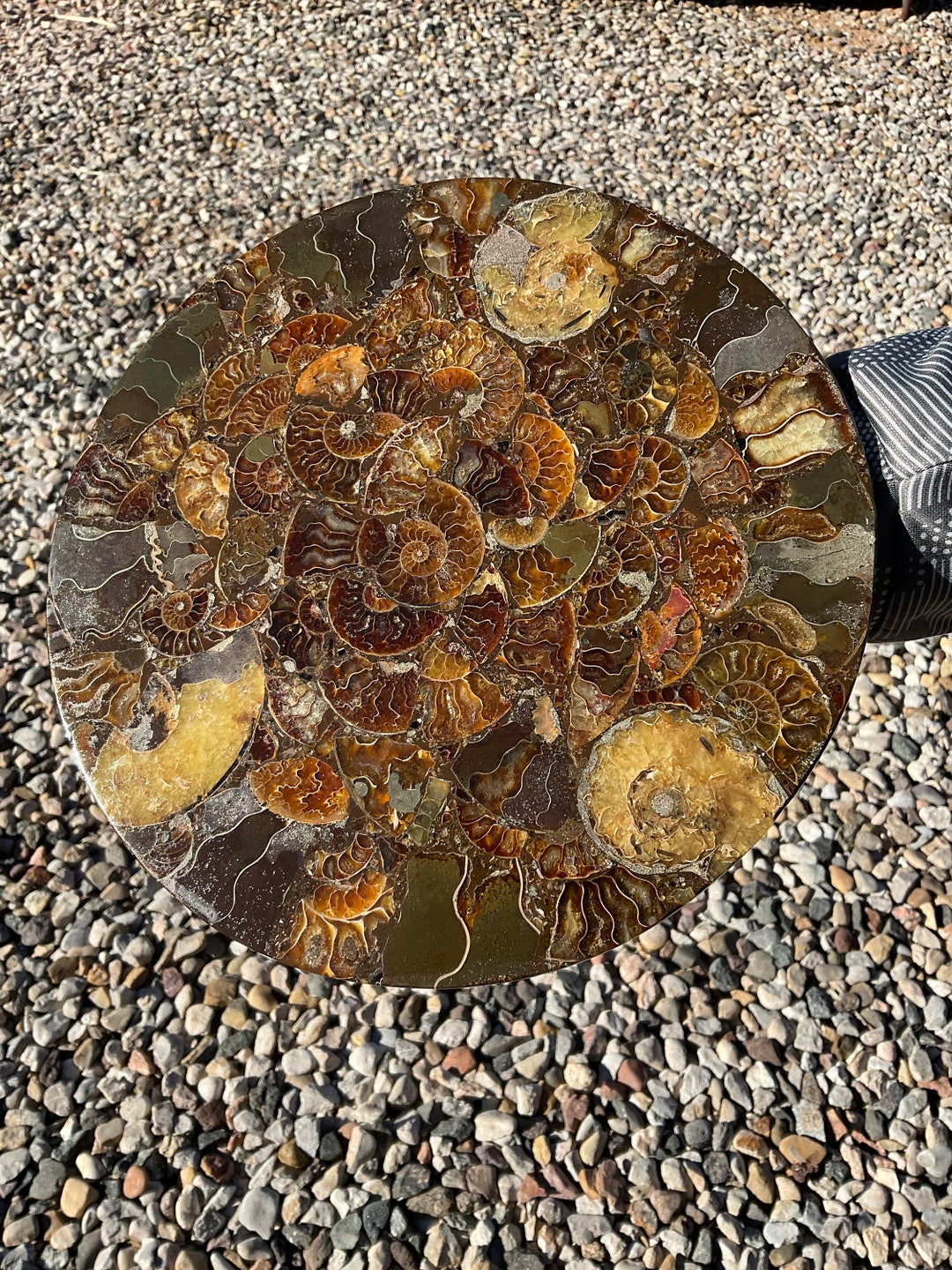 Ammonite Crystal Plate/ammonite Fossils/housewarming Gift - Etsy