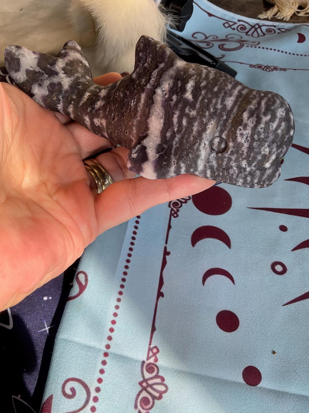 Zebra Amethyst Bottlenose Whale Carving: Crystal Decor - Etsy