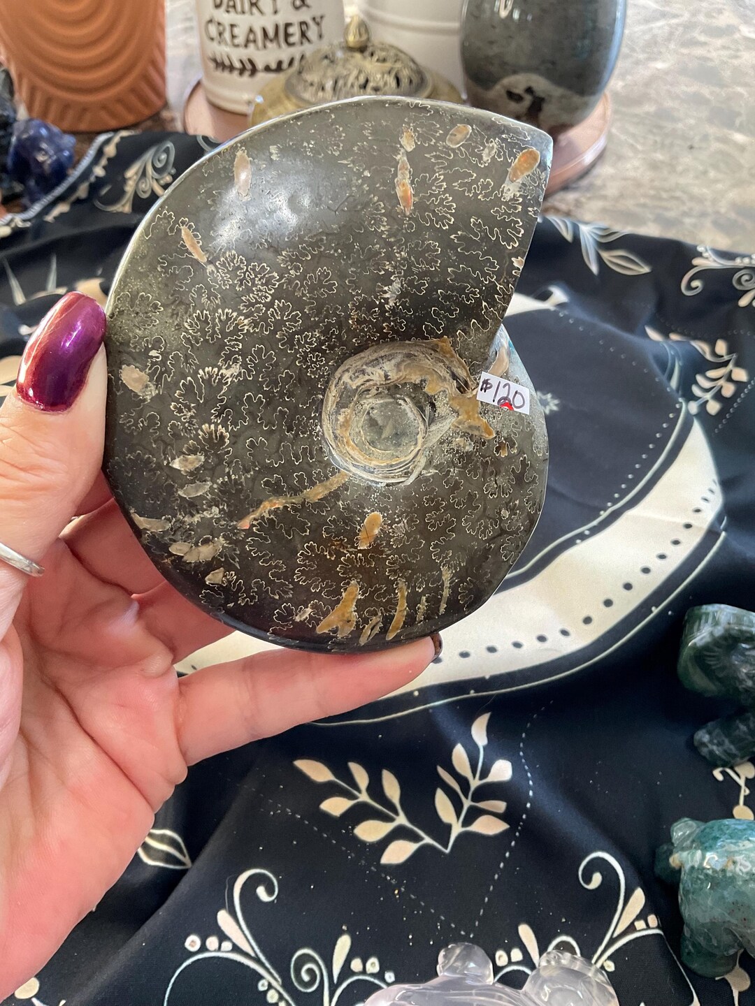 Large Iridescent Ammonite Fossil: Home Office Decor (8.4oz, 4.5" Long ...